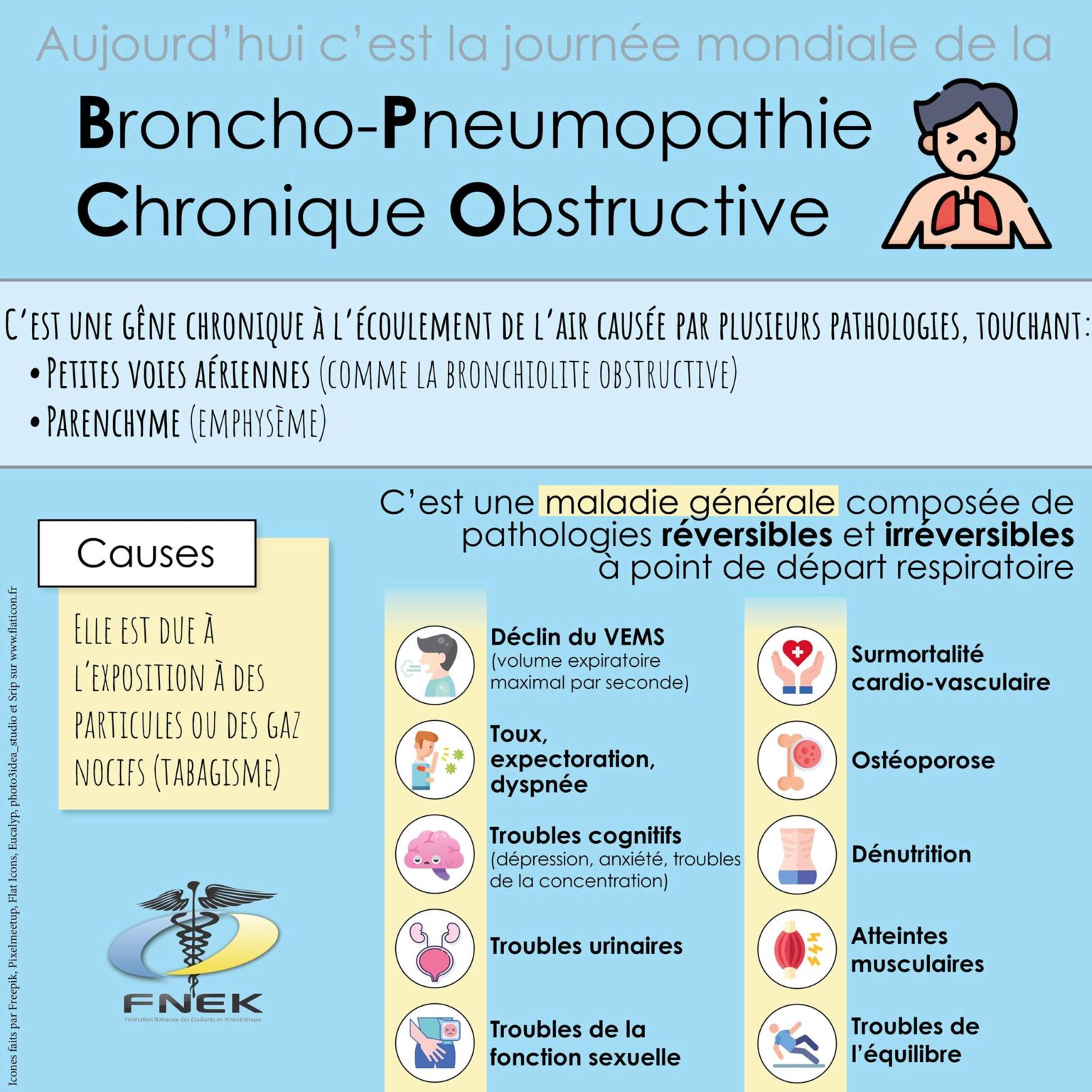 Journée mondiale de la Broncho-Pneumopathie Chronique Obstructive – FNEK